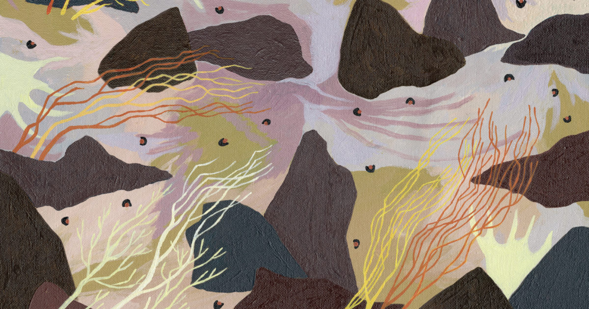 Now | Tearfund Australia