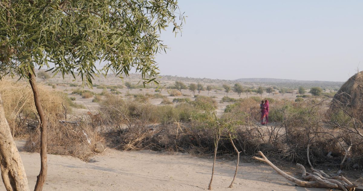 World hunger: three causes of the current hunger… | Tearfund Australia