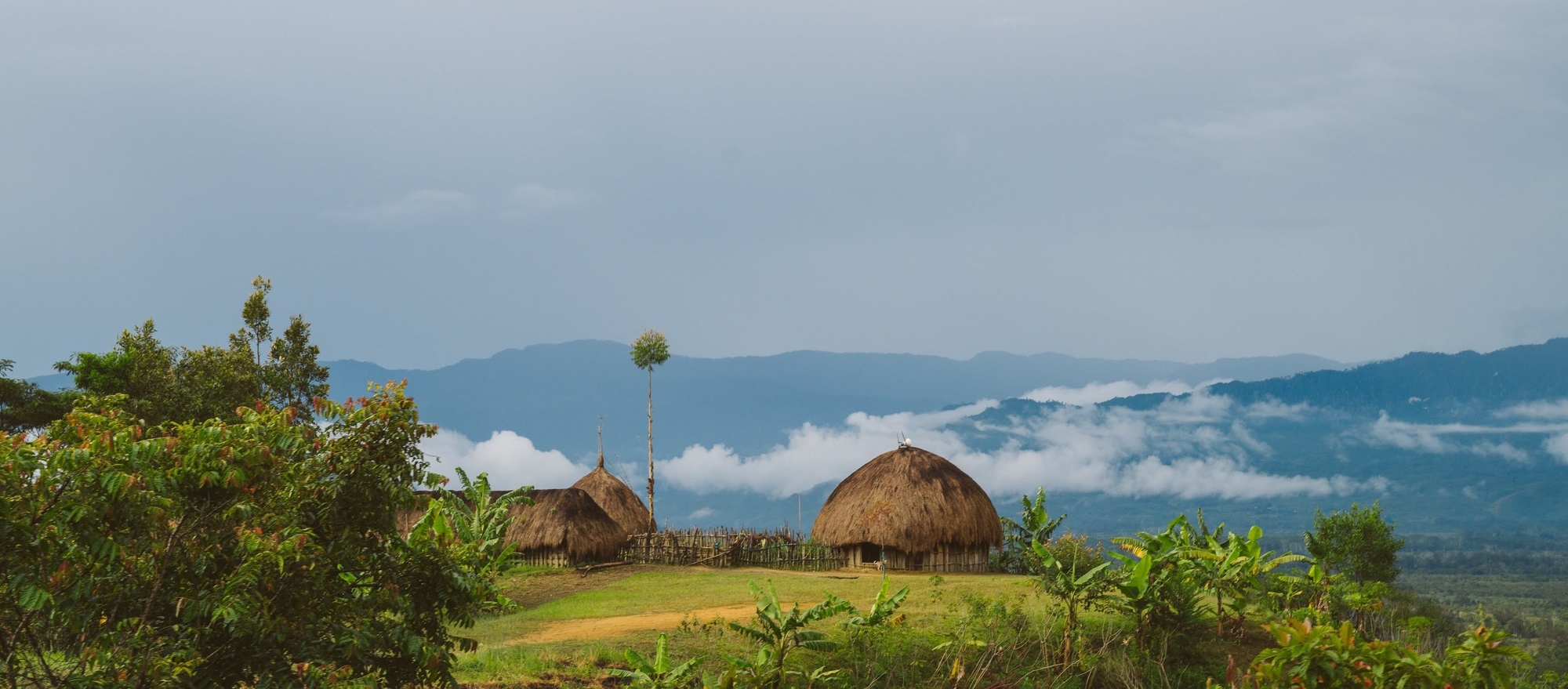 Our History | Tearfund Australia