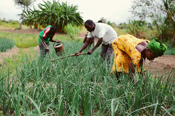 The Harvest is Plentiful, the Laborers Few:… | Tearfund Australia